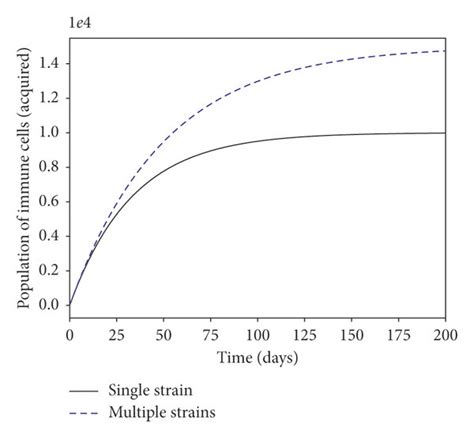 Within Human Dynamics Of Single And Multiple Strain Dynamics Of Download Scientific Diagram