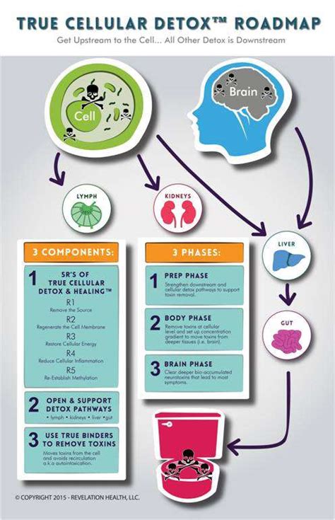 Why Is Cellular Level Detox Important