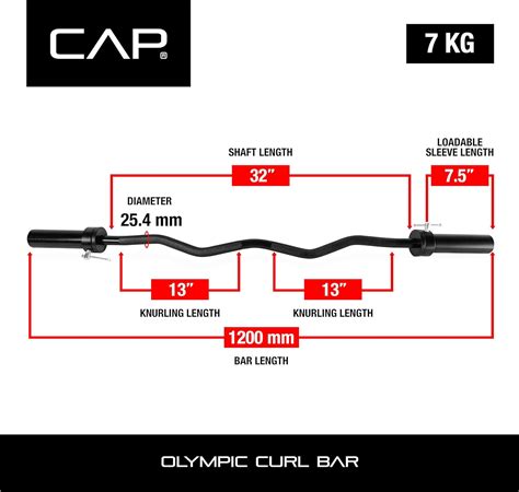 Barbell Curl