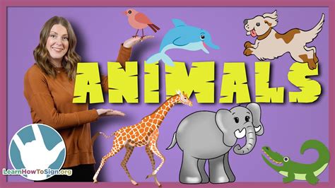 Asl Animal Name