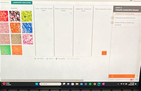 Solved Troductionphase 15 Classify Connective