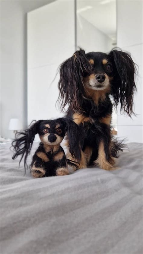 Cute Tan Lines Videos Download The Best Free 4k Stock Video Footage