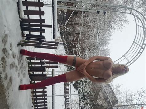 Small Fence Nomnomtahoo234