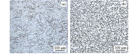 Microstructure Of The Base Materials A Aisi 316 Austenitic Stainless Download Scientific