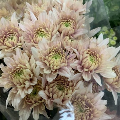 Mum Peach Color Best Cakes In Akure Made This Beauty For A Mum🥰