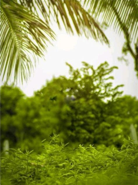 Sujoy Roy Posted On Linkedin