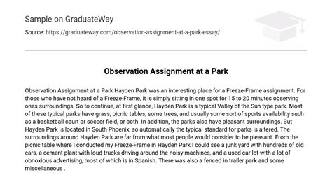 ⇉observation Assignment At A Park Essay Example Graduateway