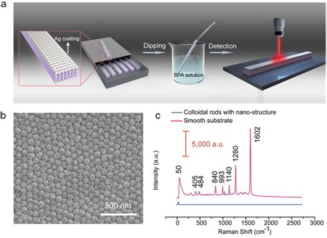 Effect Of Substrate Structure On The Sers Signal Intensity A
