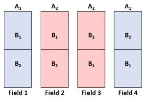 What Is A Split Plot Design Explanation Example