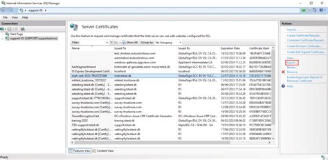 How To Generate A Pfx File On A Microsoft Iis 10 Web Server Trustzone