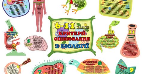 Критерії оцінювання з біології для 6 11 класів Біологія