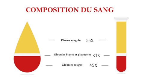Plasma Sanguin Rôle Don Composition Cest Quoi