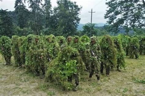 ပလက်၀မြို့နယ်တွင် Aa နှင့် စစ်ကောင်စီတပ်တို့ နေရာ ၂ခုတွင် ထပ်မံတိုက်ပွဲဖြစ်ပွား၊ ကျီး၀တပ်စခန