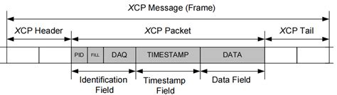 Autosar架构 Xcp模块与协议介绍 Autosar Xcp Csdn博客