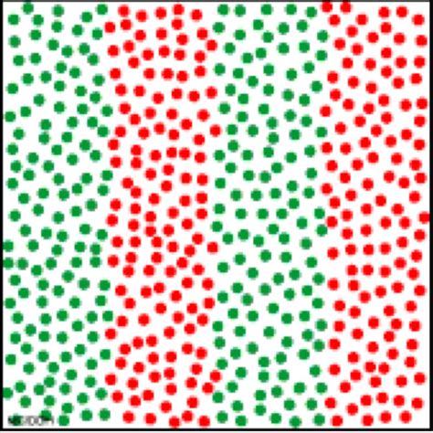 Extrastriate Processing Flashcards Quizlet