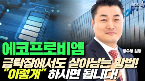 에코프로비엠 주가전망 급락장에서도 살아남는 방법 이렇게 하시면 됩니다 Youtube