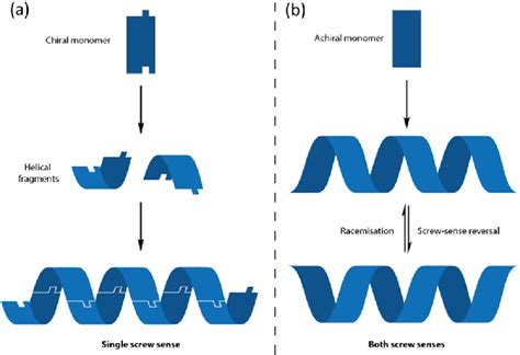 The Formation Of Helices From A Chiral And B Achiral Monomers Download Scientific Diagram