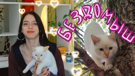 странная история я УСЫНОВИЛА кота Youtube