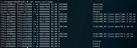 Linux Pwn入门教程6——格式化字符串漏洞 Csdn博客 Linux Pwn入门教程6——格式化字符串漏洞 Csdn博客