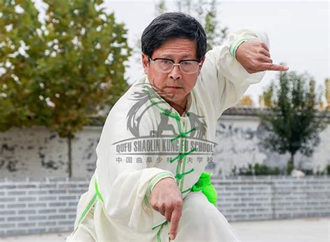 Mantis Fist Master Zhang Xian Hua Qufu Shaolin Kung Fu School