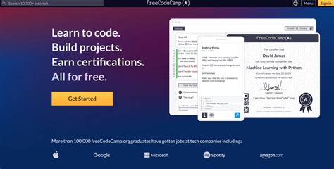 Freecodecamp Vs Codecademy 2025 Which One Is Better 🔥