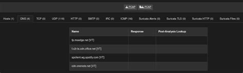 No Internet Access During Analysis No Network Results No Pcap Dumps · Issue 1234