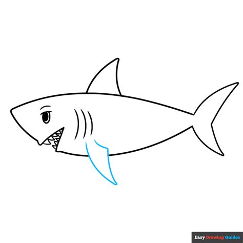 Shark Drawing Easy Small At Hugo Jenyns Blog