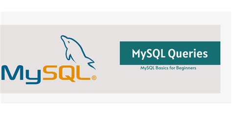 Mysql Queries Basics Of Mysql Dev Community