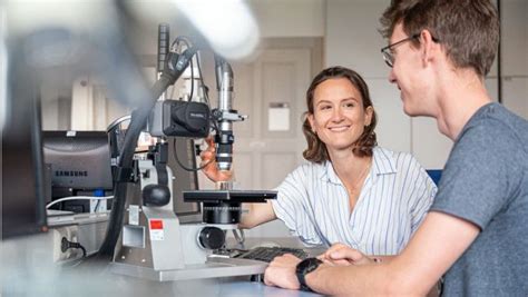 Nanotechnology Info And Statistics On Linkedin Scientists Transform Algae Into Unique Functional