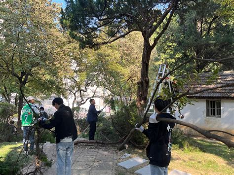 工学院功能型学生党支部组织开展“青春匠益行”志愿服务活动 安徽农业大学新闻网