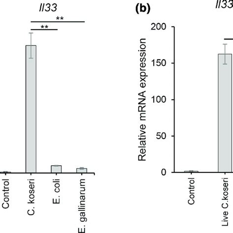 Pdf Citrobacter Koseri Stimulates Dendritic Cells To Induce Il 33