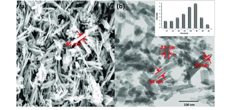 A Sem Image And B Tem And Particle Size Distribution Histogram Of