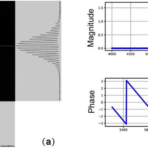 A The Spatial Interference Pattern Recorded By The Camera Chip B