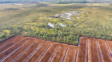 Peat Description Formation Importance Carbon And Uses Britannica