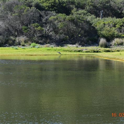 Lake Bunga Beach East Gippsland Scrolller