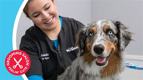 Petsmart Pet Grooming Locations Saint Louis Missouri