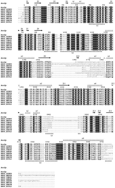 Sequence Alignment Of Some Representative Sequences Of Bi Functional