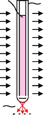 Integrating Waveguide Technology Detection Concept Download Scientific Diagram