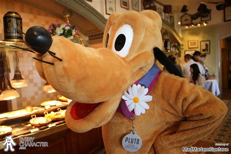 Dlp Swing Into Spring Brunch On