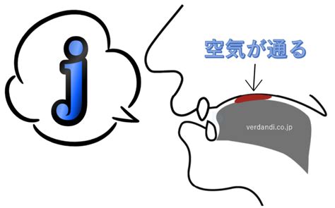 Attributeの意味と発音記号をイラストで解説 アプリで発音練習できる！ 発音大学