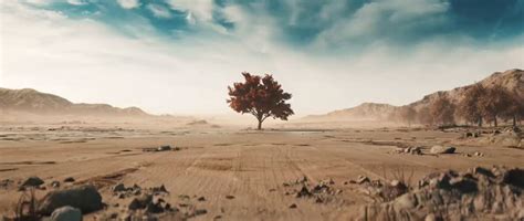 mhd ali posted on linkedin