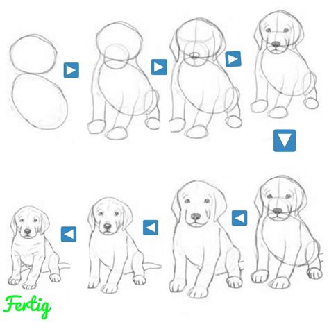 How To Draw A Puppy Artofit