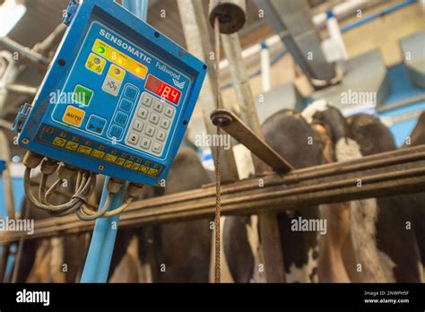 Dairy Milk Yield Monitor Stock Photo Alamy