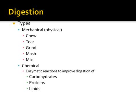 Digestive Sytem Pdf Learn About Digestive System Ppt
