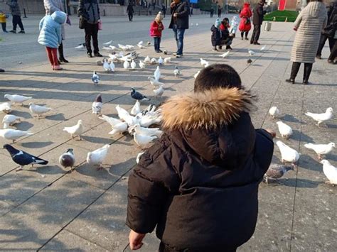 我和我的祖國一刻也不能分割 每日頭條