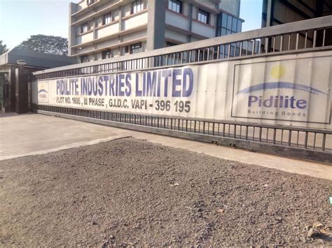 Pidilite Industries Ltd In The City Vapi