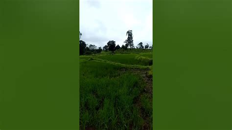 Beautiful Of Naturebhat Sheti Youtube