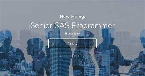 Senior Sas Programmer At Datamaxis