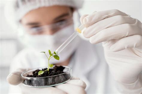 Importance Of Soil Testing In Agriculture Types Of Soil Testing Methods