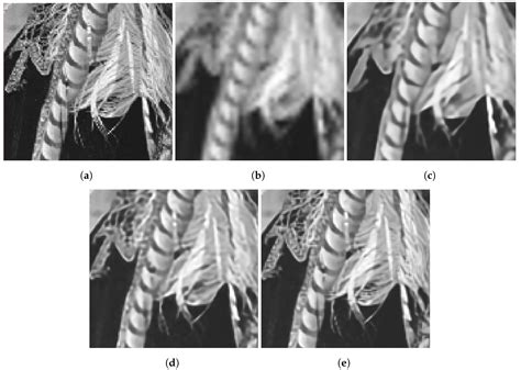 Exponential Fusion Of Interpolated Frames Network Efif Net Advancing